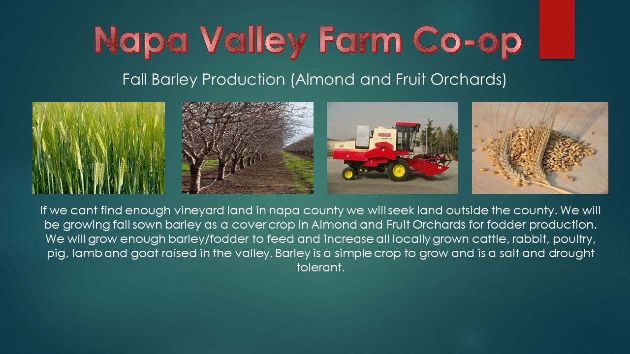 Slide21 – Napa Valley Farm Co-op
