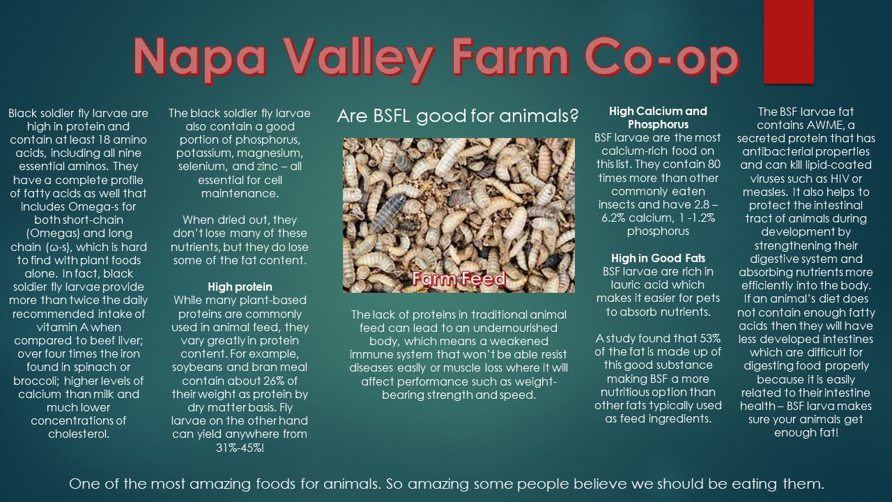 Slide25 – Napa Valley Farm Co-op