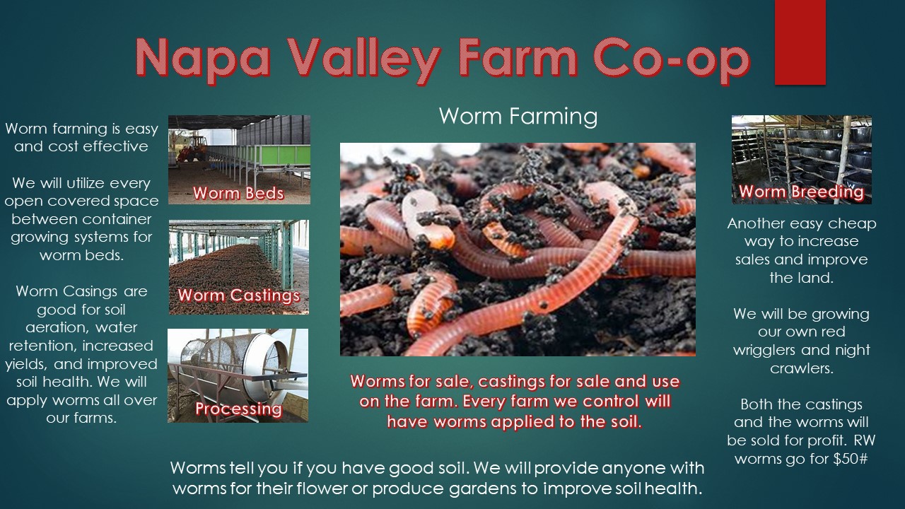 Slide47 – Napa Valley Farm Co-op