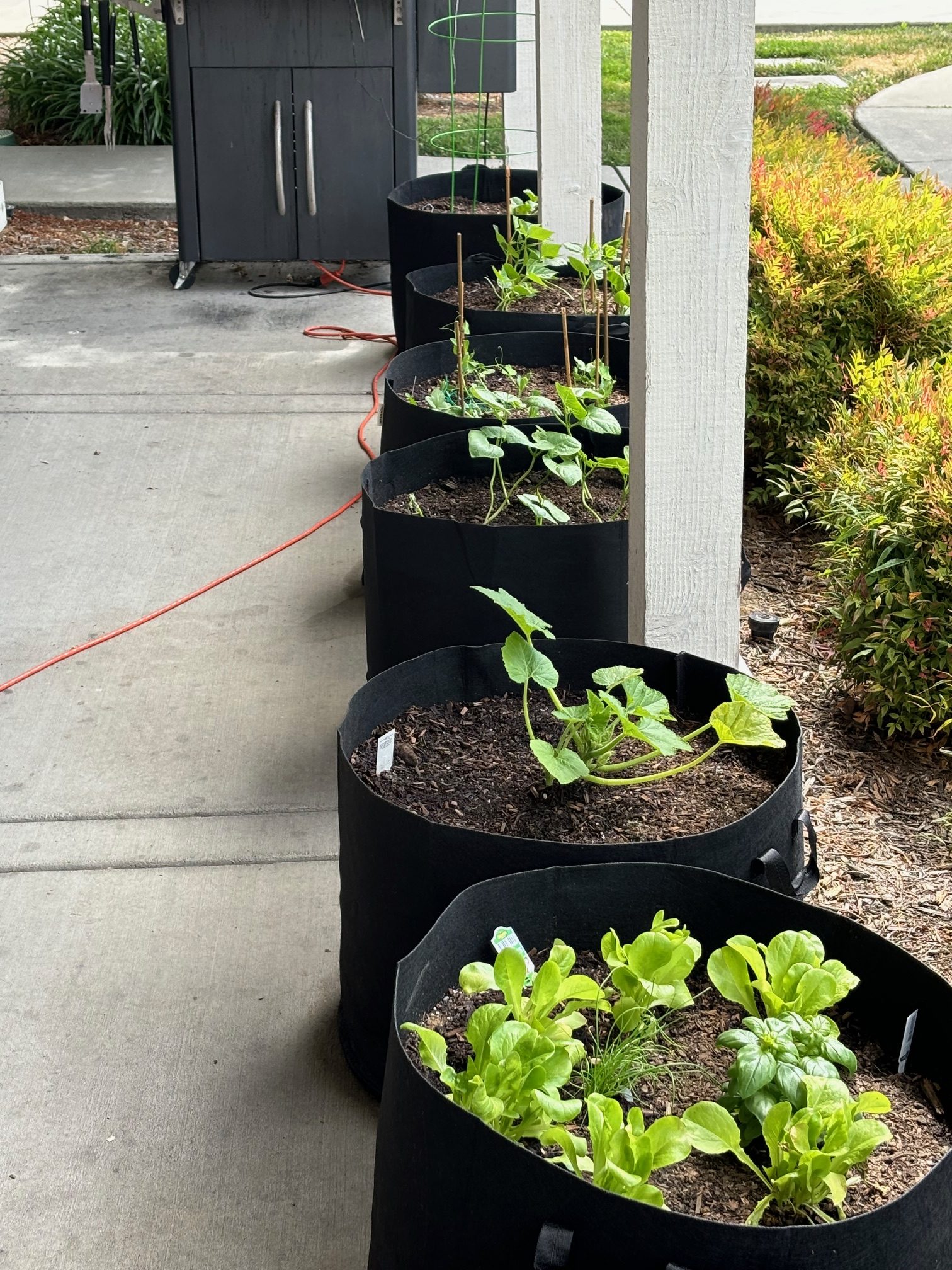 Napa Valley Farm Co-op